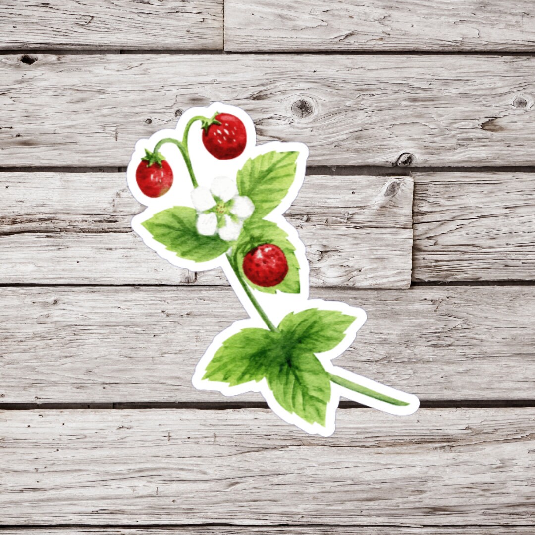 Strawberry Sticker or Magnet, Strawberry Sticker, Berry Sticker, Fruit ...