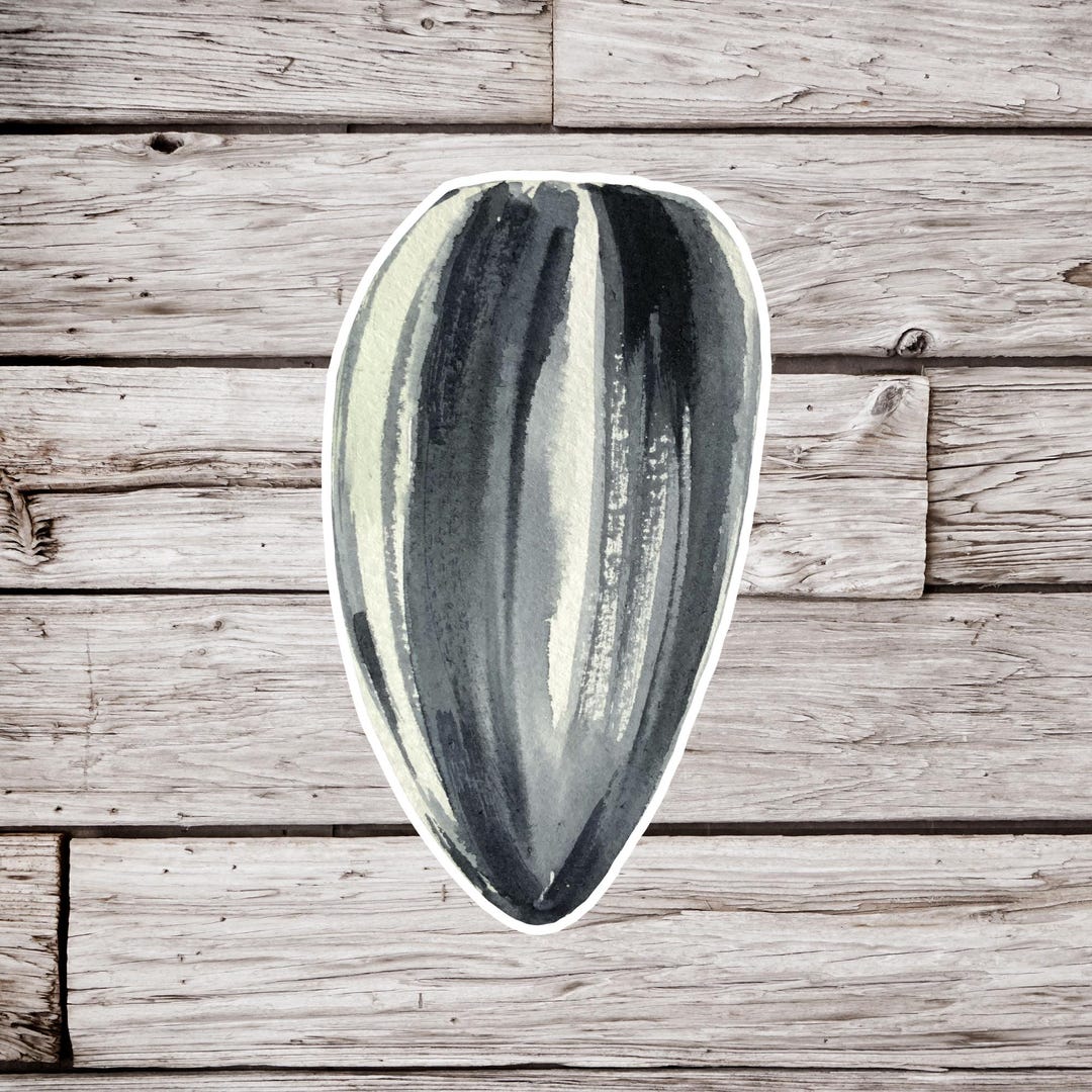 Sunflower Seed Sticker, Seed Sticker, Flower Sticker, Botanical Sticker ...