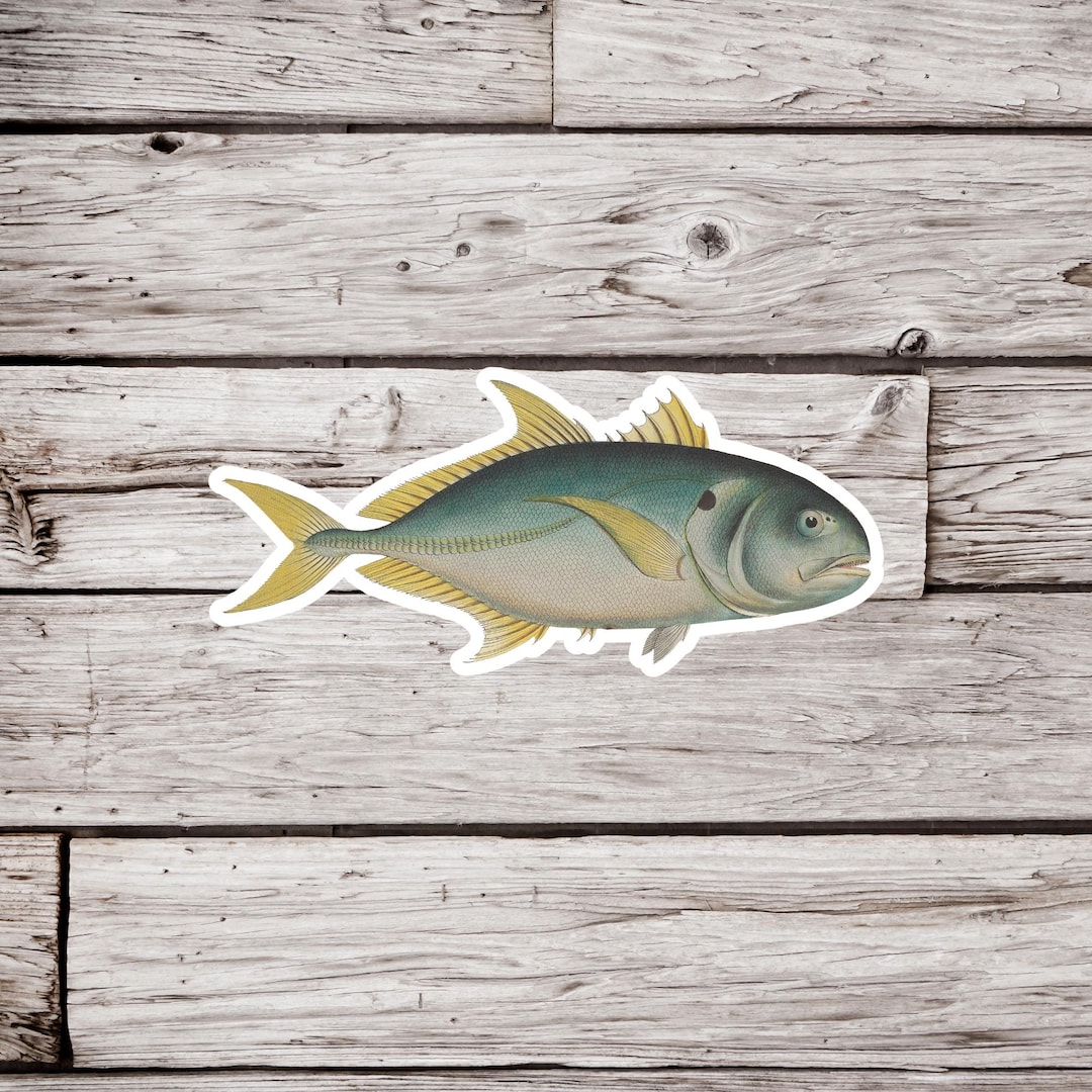 Crevalle Jack Sticker, Yellow Cavalli Sticker, Fishing Sticker, Fish ...