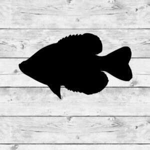 Crappie Decal | Crappie Vinyl Decal | Crappie Sticker | Fish Sticker ...