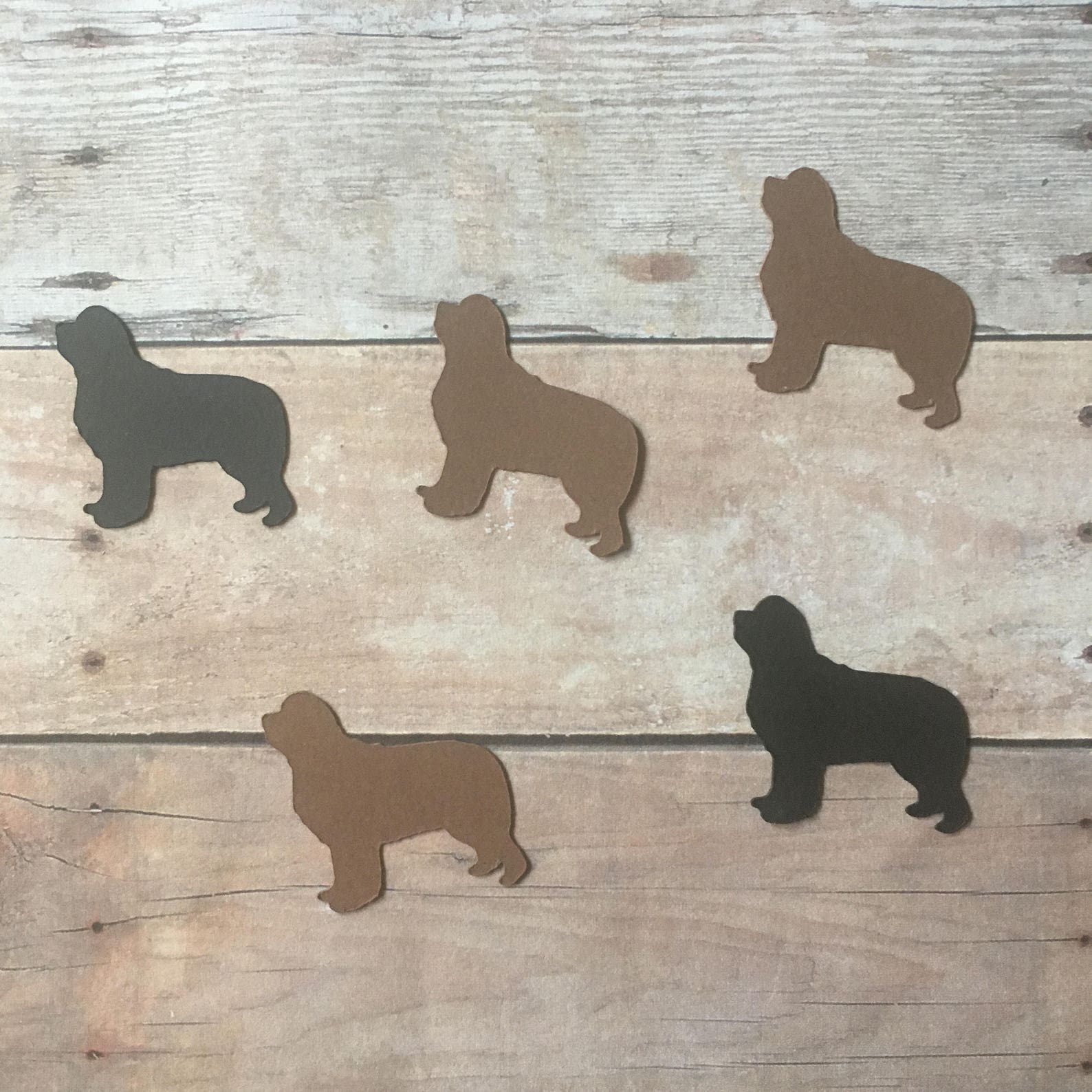 Newfoundland Confetti Newfoundland Cut Out Newfoundland - Etsy