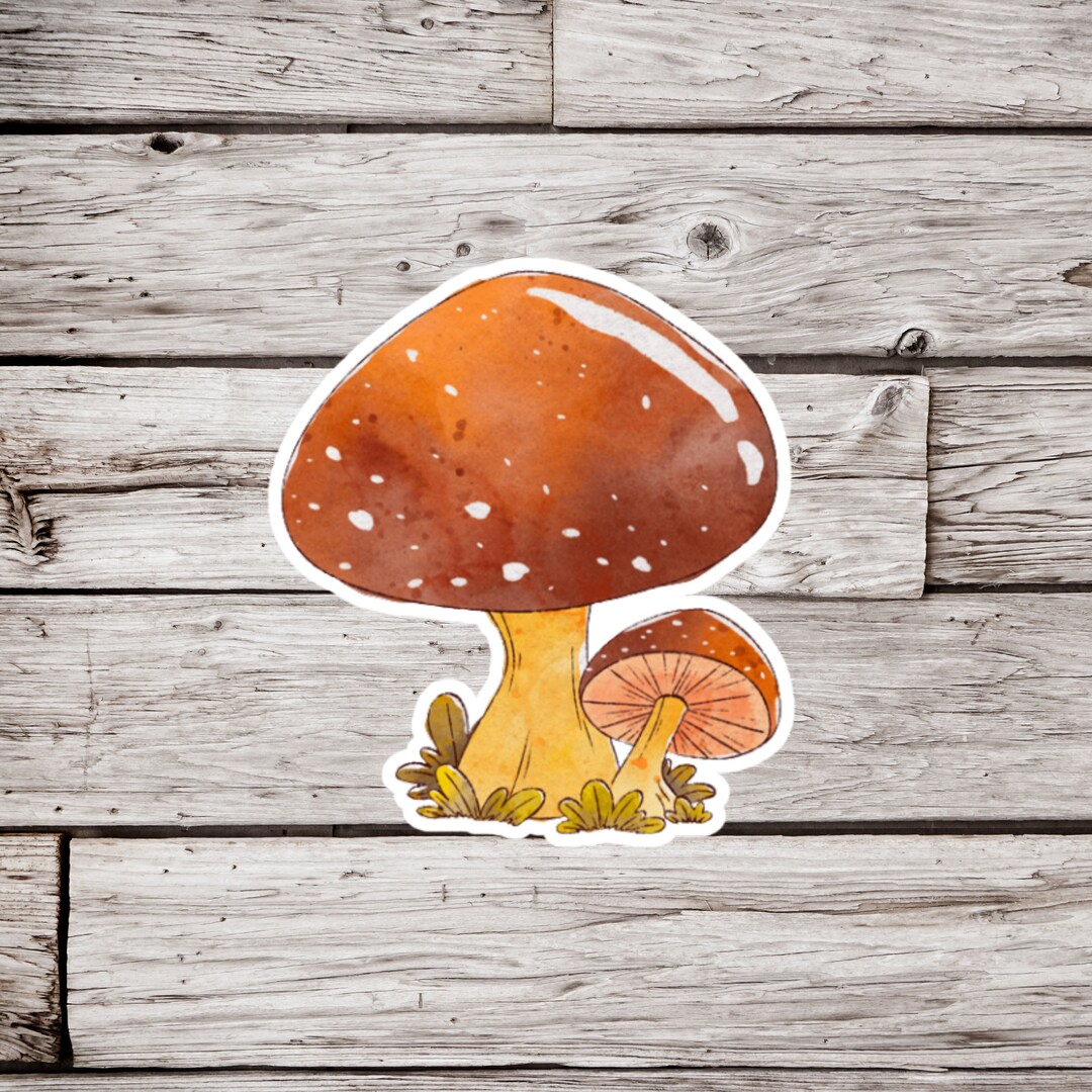 Mushroom Sticker, Fungus Sticker, Fungi Sticker, Waterproof Sticker ...