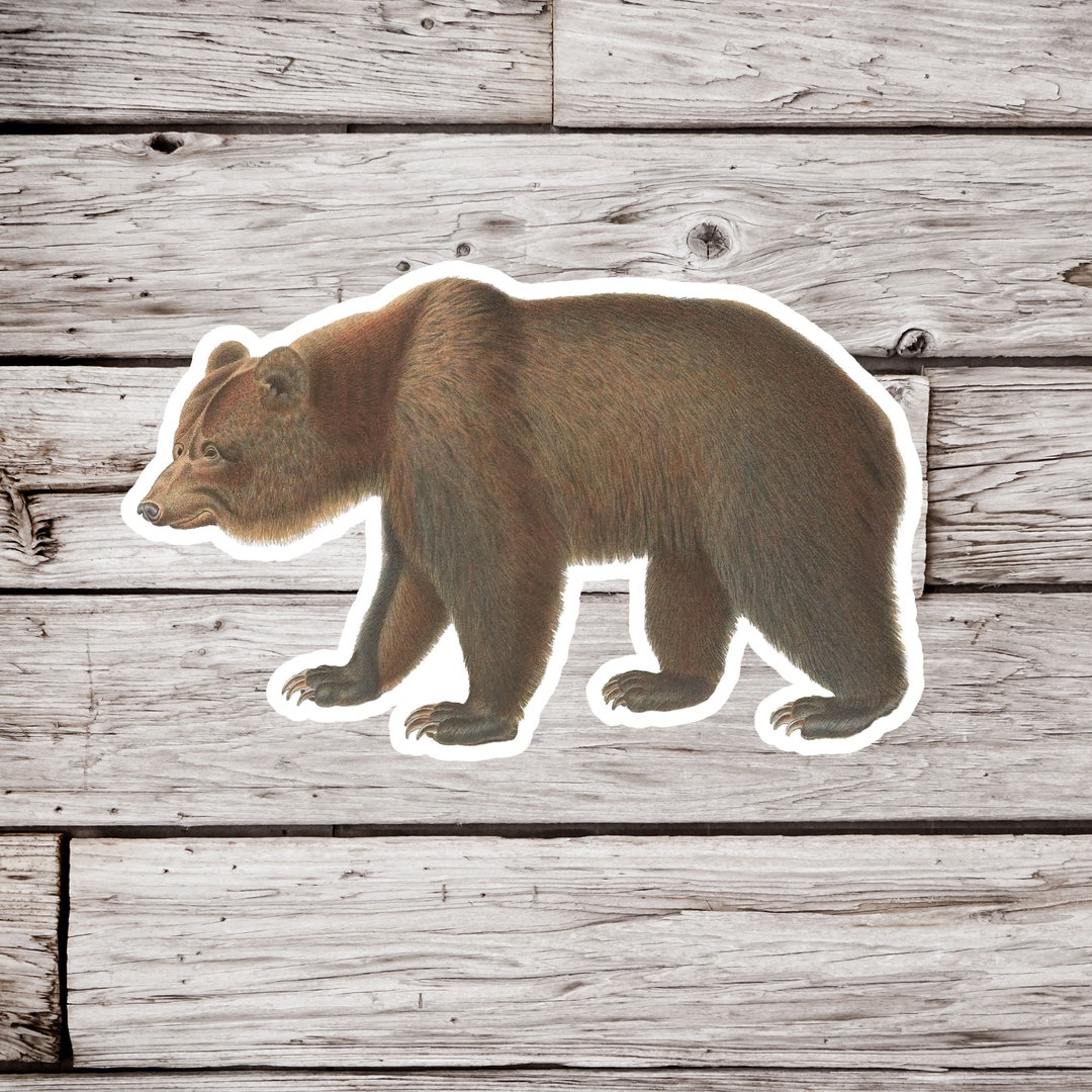 Bear Sticker, Brown Bear Sticker, Animal Sticker, Waterproof Sticker ...