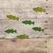 Coelacanth Confetti Coelacanth Cut Out Fish Confetti Fish Cut Out Fish ...