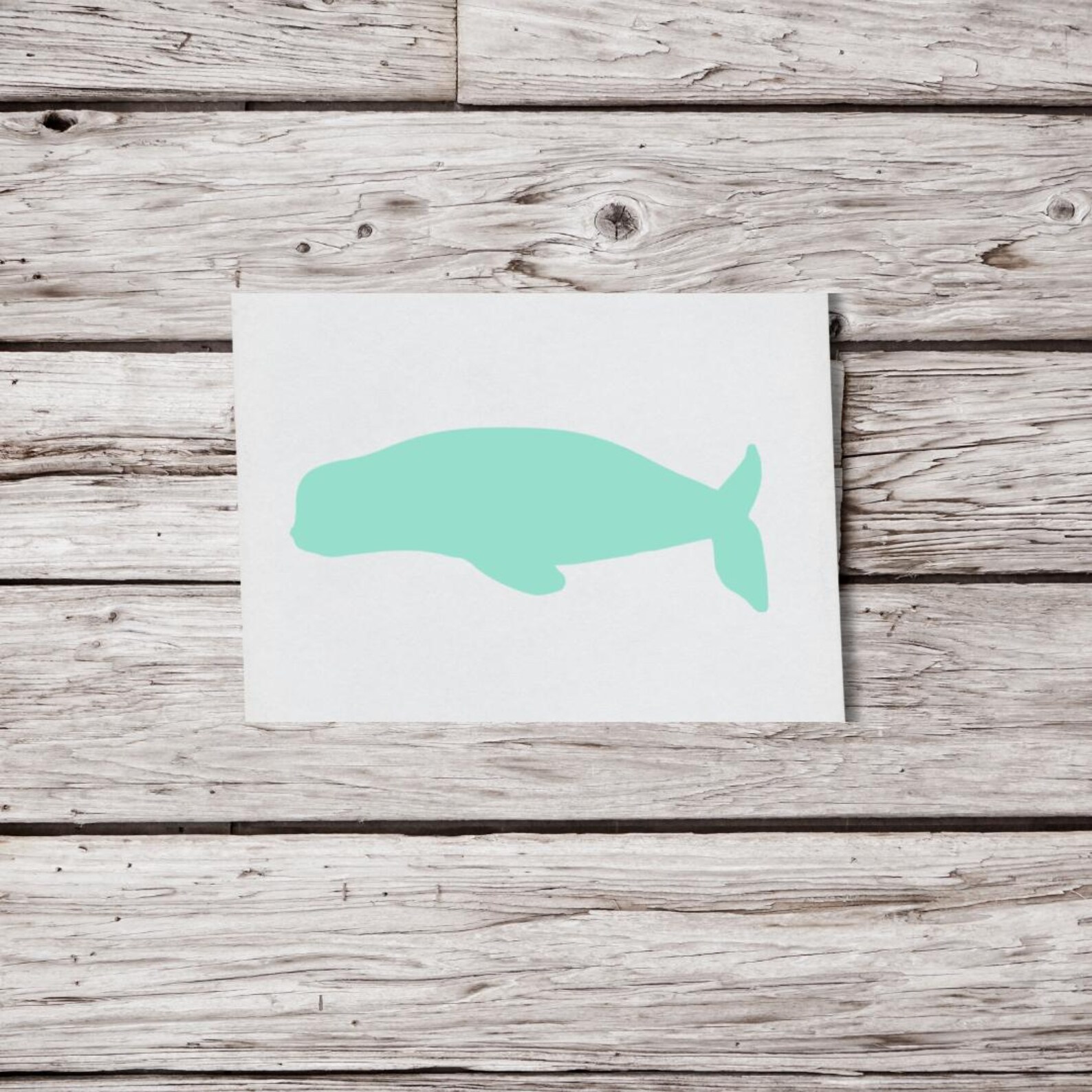 Beluga Whale Decal, Beluga Whale Vinyl Decal, Beluga Whale Sticker ...
