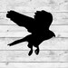 Hawk Decal Hawk Vinyl Decal Hawk Sticker Birds of Prey - Etsy