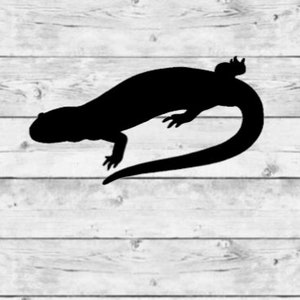 Salamander Sticker | Salamander Decal | Amphibian Decal | Nute Decal ...