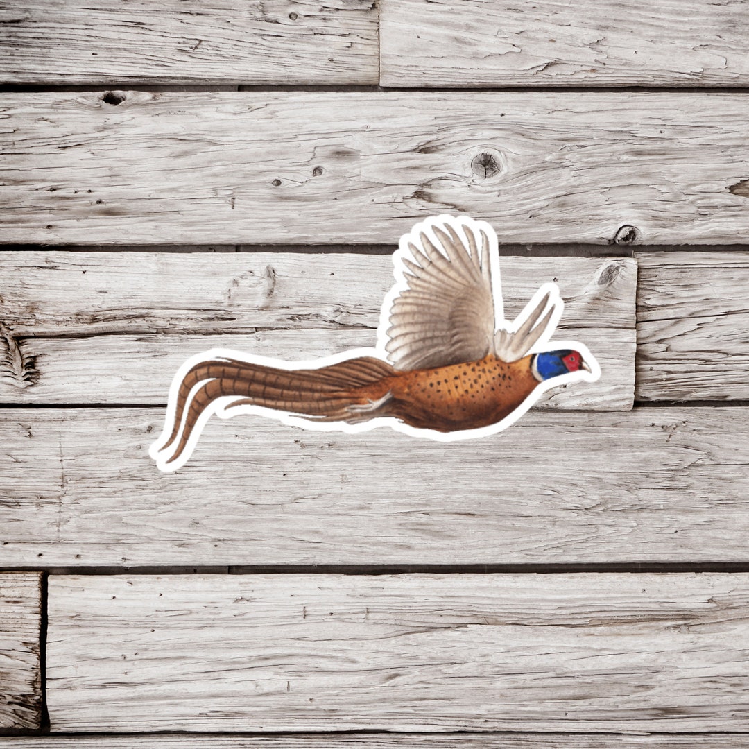 Pheasant Sticker, Bird Sticker, Waterproof Sticker, Bird Hunting ...