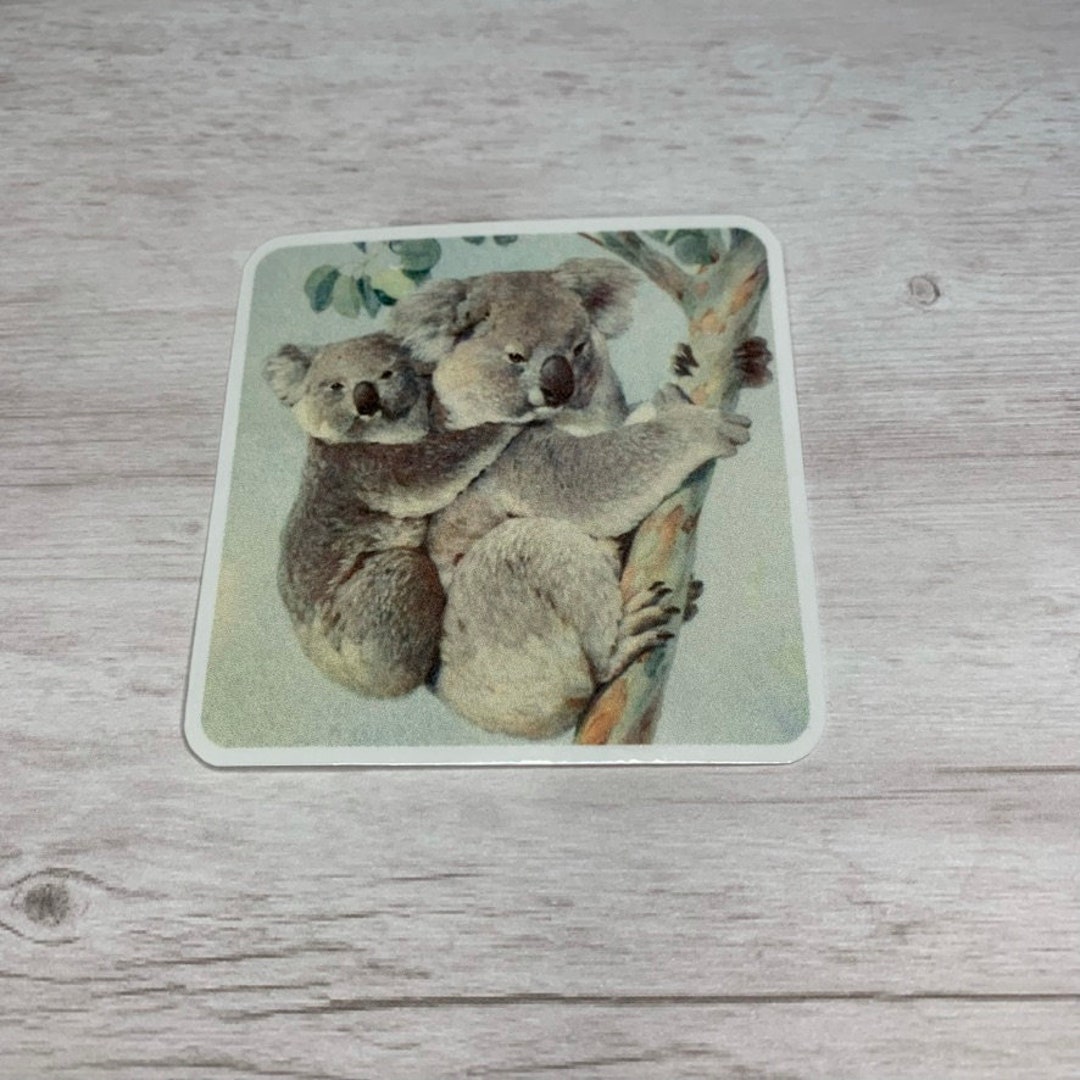 Koala Sticker or Magnet, Kola Sticker, Waterproof Sticker, Kola Magnet ...