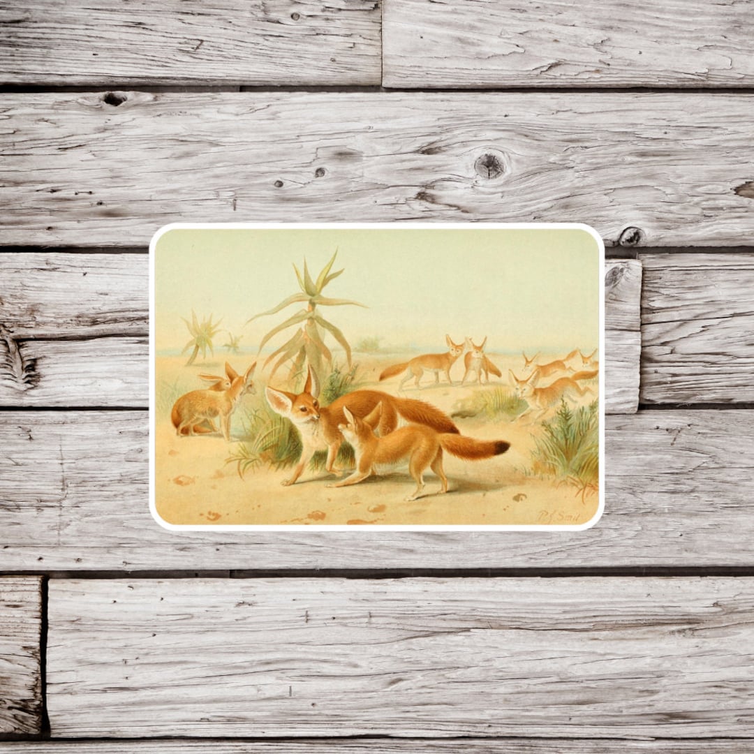 Fennec Fox Sticker, Fox Sticker, Fox Sticker, Waterproof Sticker ...