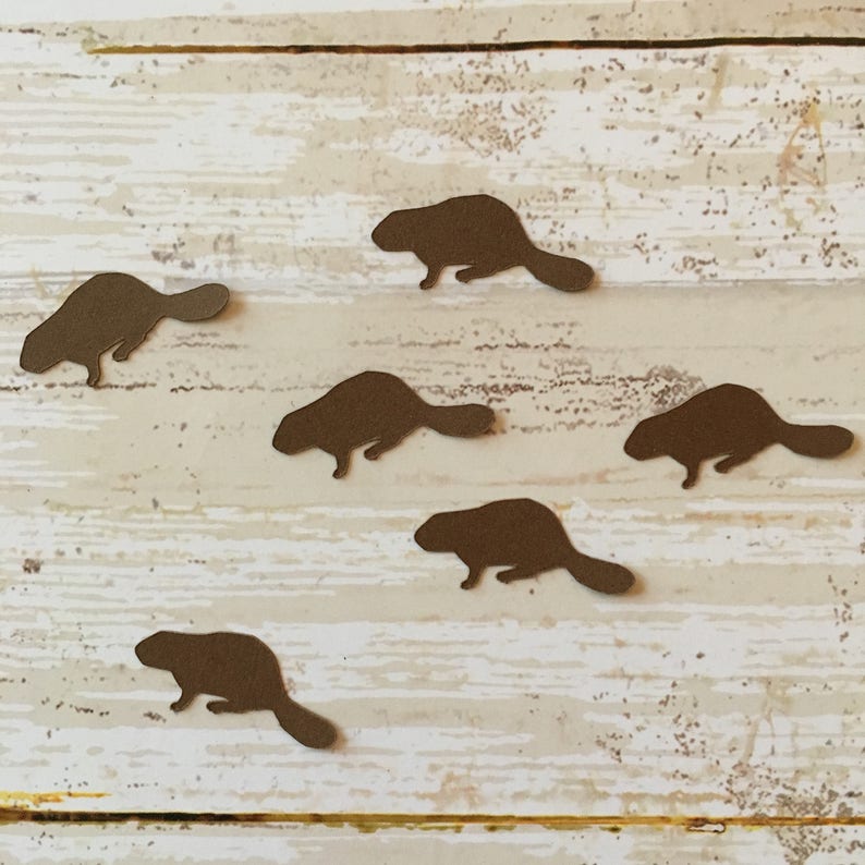 Beaver Confetti Beaver Cut Outs Beaver Decorations | Etsy