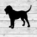 Bloodhound Decal Bloodhound Vinyl Decal Bloodhound Sticker - Etsy
