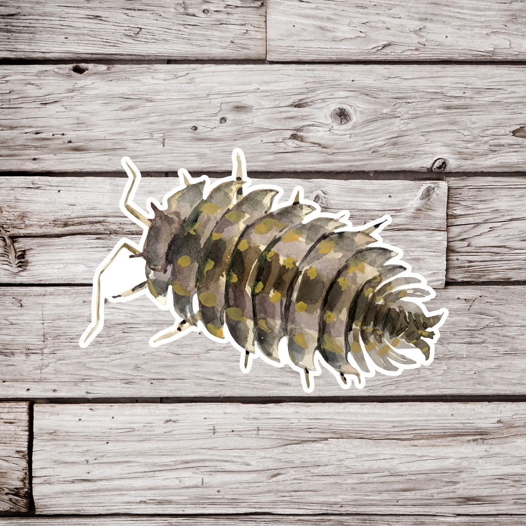 Woodlouse Sticker, Roly Poly Sticker, Pill Bug Sticker, Bug Sticker ...