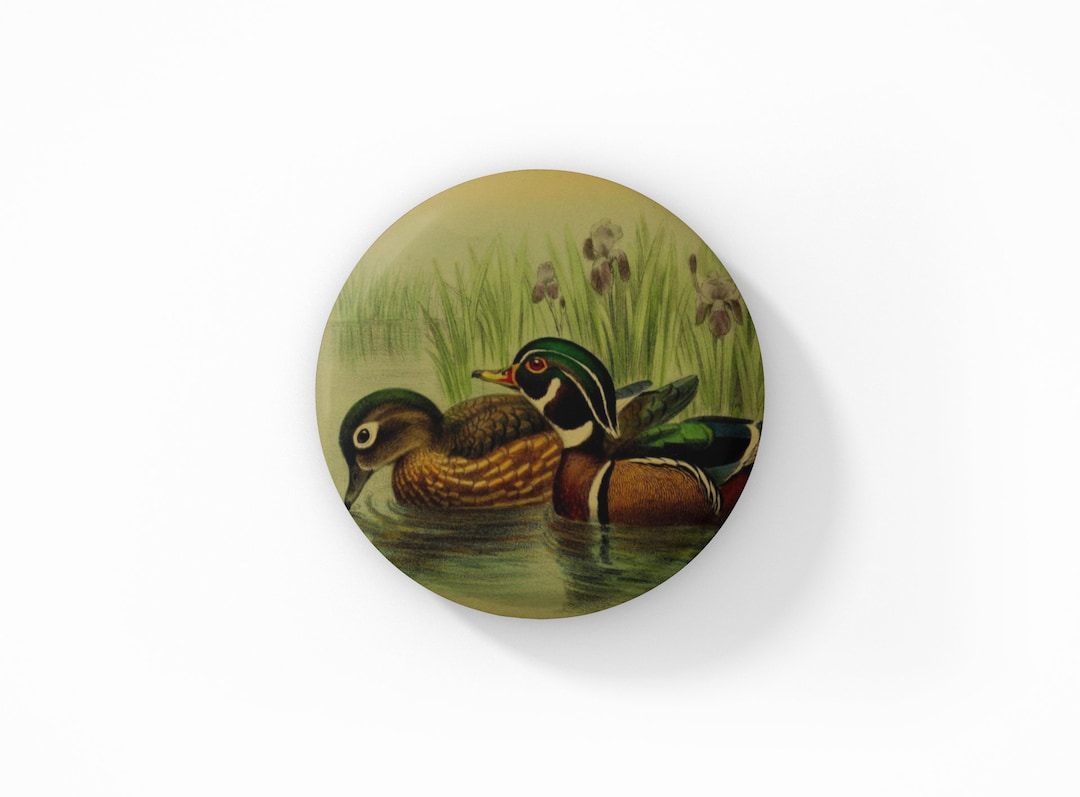 Wood Duck Pin, Wood Duck Pin Back, Wood Duck Button, Vintage Duck Pin ...