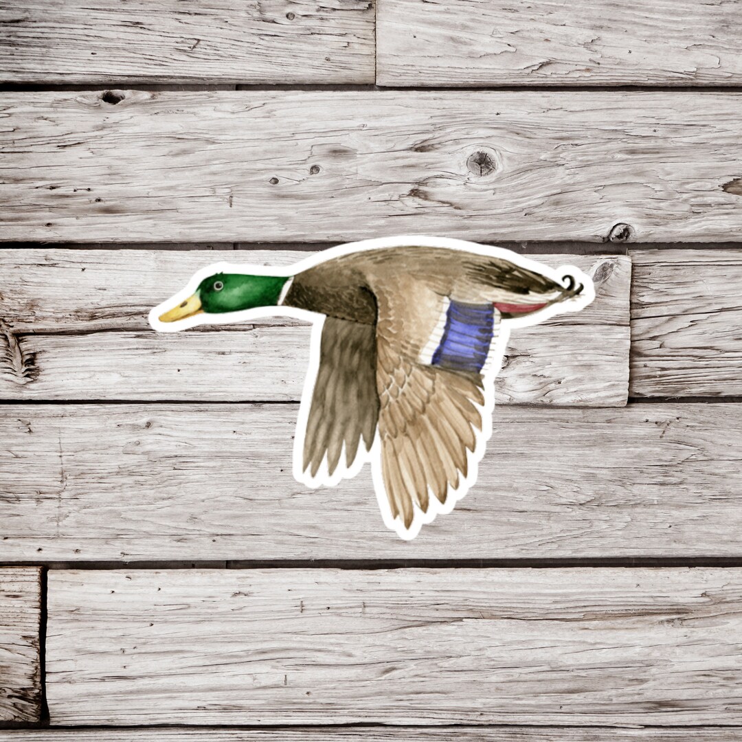 Mallard Sticker or Magnet, Mallard Sticker, Mallard Magnet, Duck ...