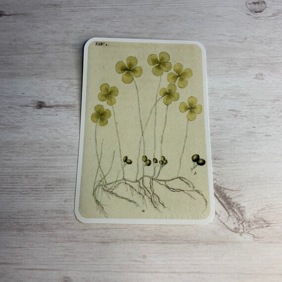 Clover Sticker Four Leaf Clover Sticker Shamrock Sticker - Etsy