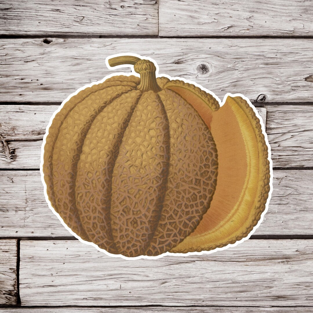 Cantaloupe Sticker, Fruit Sticker, Melon Sticker, Muskmelon Sticker ...