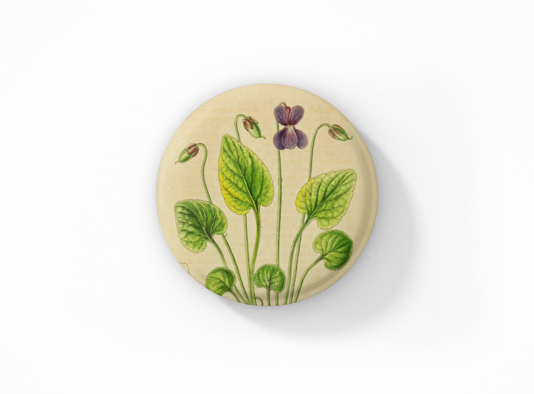 Violet Pin, Violet Pin Back Button, Floral Pin, Natural History Pin ...