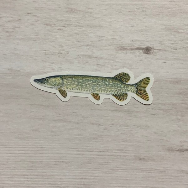Northern Pike - Etsy