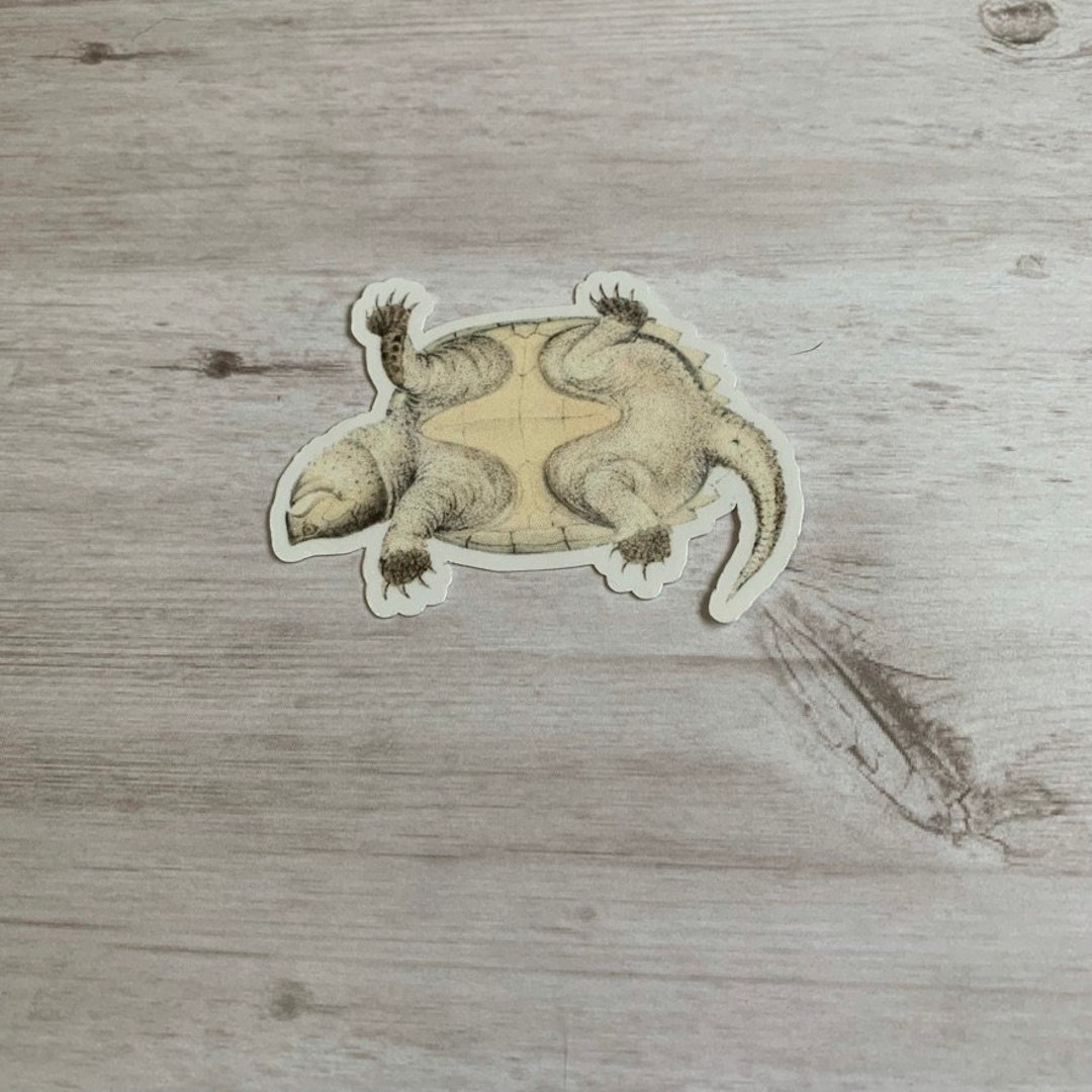 Snapping Turtle Sticker or Magnet, Snapping Turtle Sticker, Turtle ...