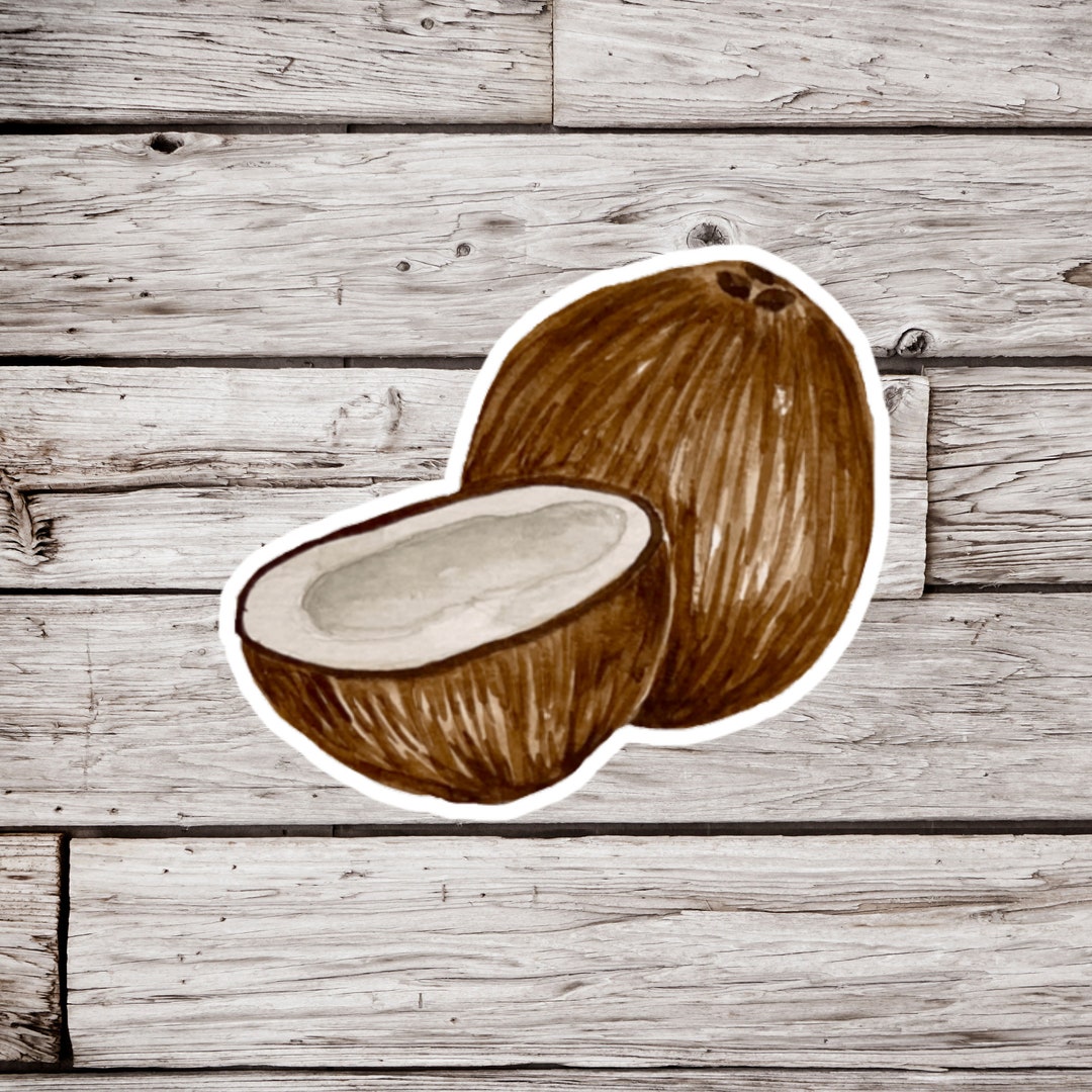 Coconut Sticker or Magnet, Coconut Sticker, Coconut Magnet, Waterproof ...