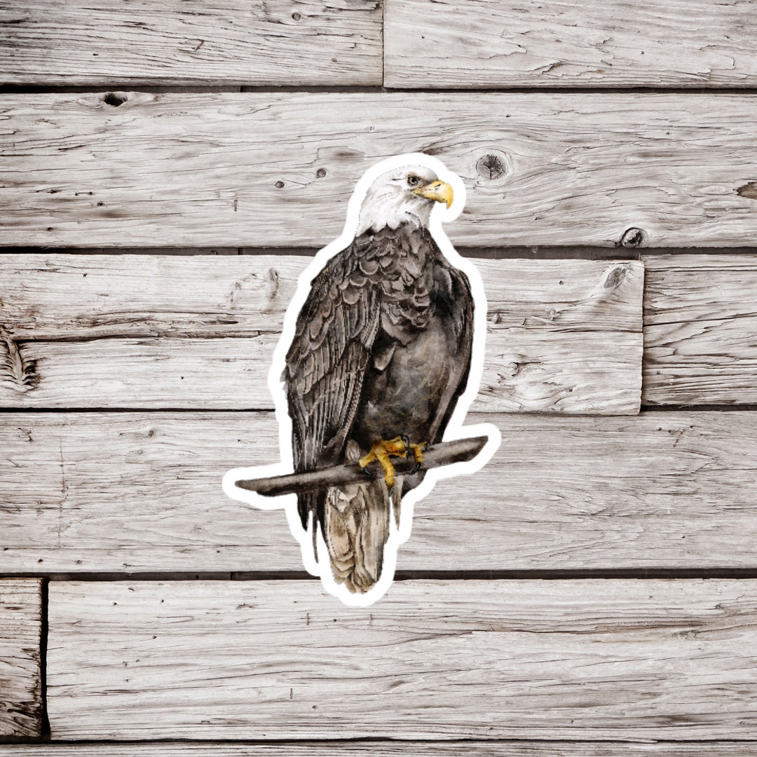 Bald Eagle Sticker or Magnet, Bald Eagle Sticker, Eagle Sticker, Bird ...