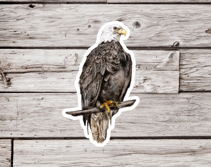 Bald Eagle Sticker, Eagle Sticker, Bird Sticker, Wildlife Sticker ...