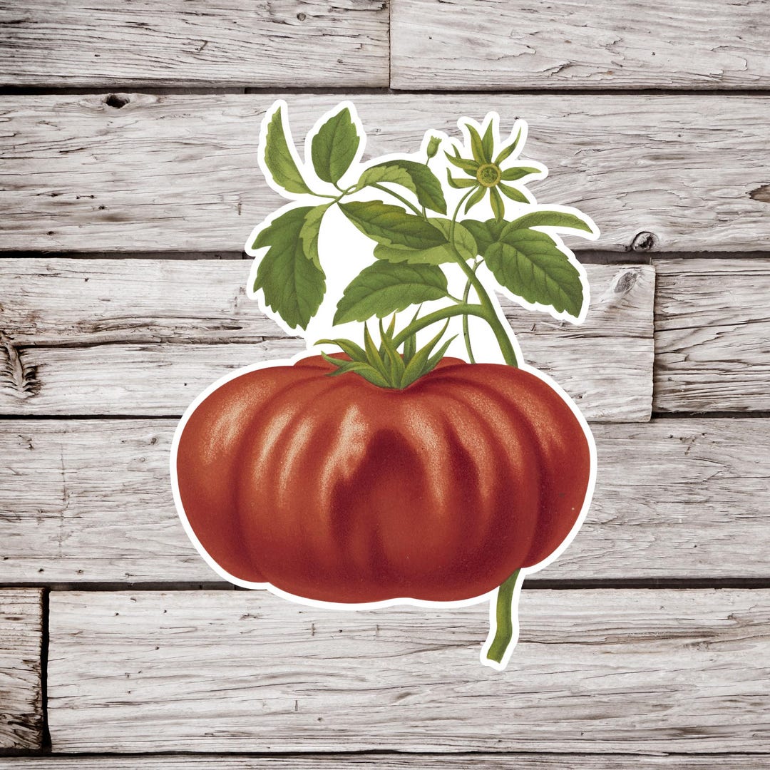 Tomato Sticker, Vegetable Sticker, Fruit Sticker, Botanical Sticker ...