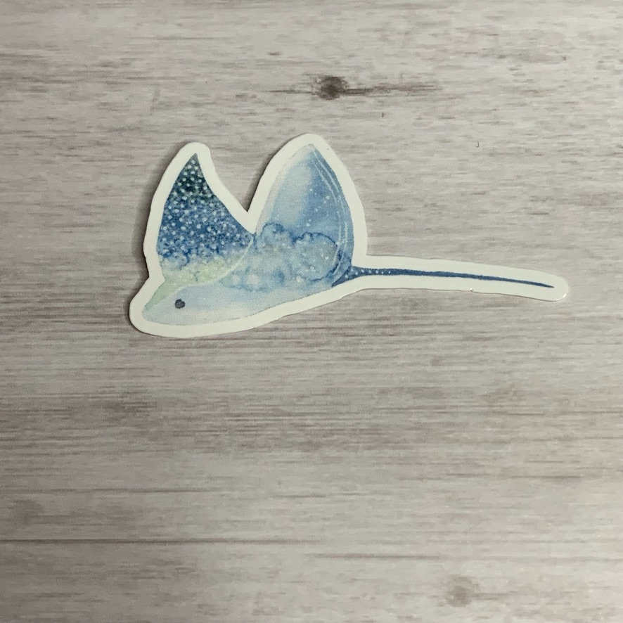 Stingray Sticker or Magnet Stingray Magnet Manta Ray - Etsy