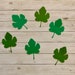 Fig Leaf Confetti Fig Leaf Cut Outs Fig Leaf Die Cuts Leaf Confetti ...