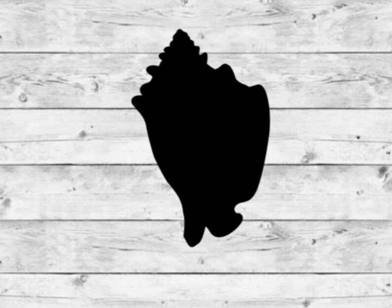 Conch Decal Conch Sticker Shell Sticker Shell Decal | Etsy