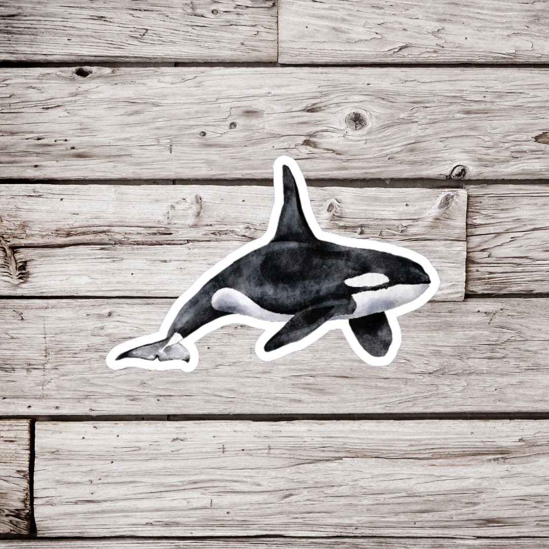 Orca Whale Sticker or Magnet Orca Sticker Whale Magnet - Etsy