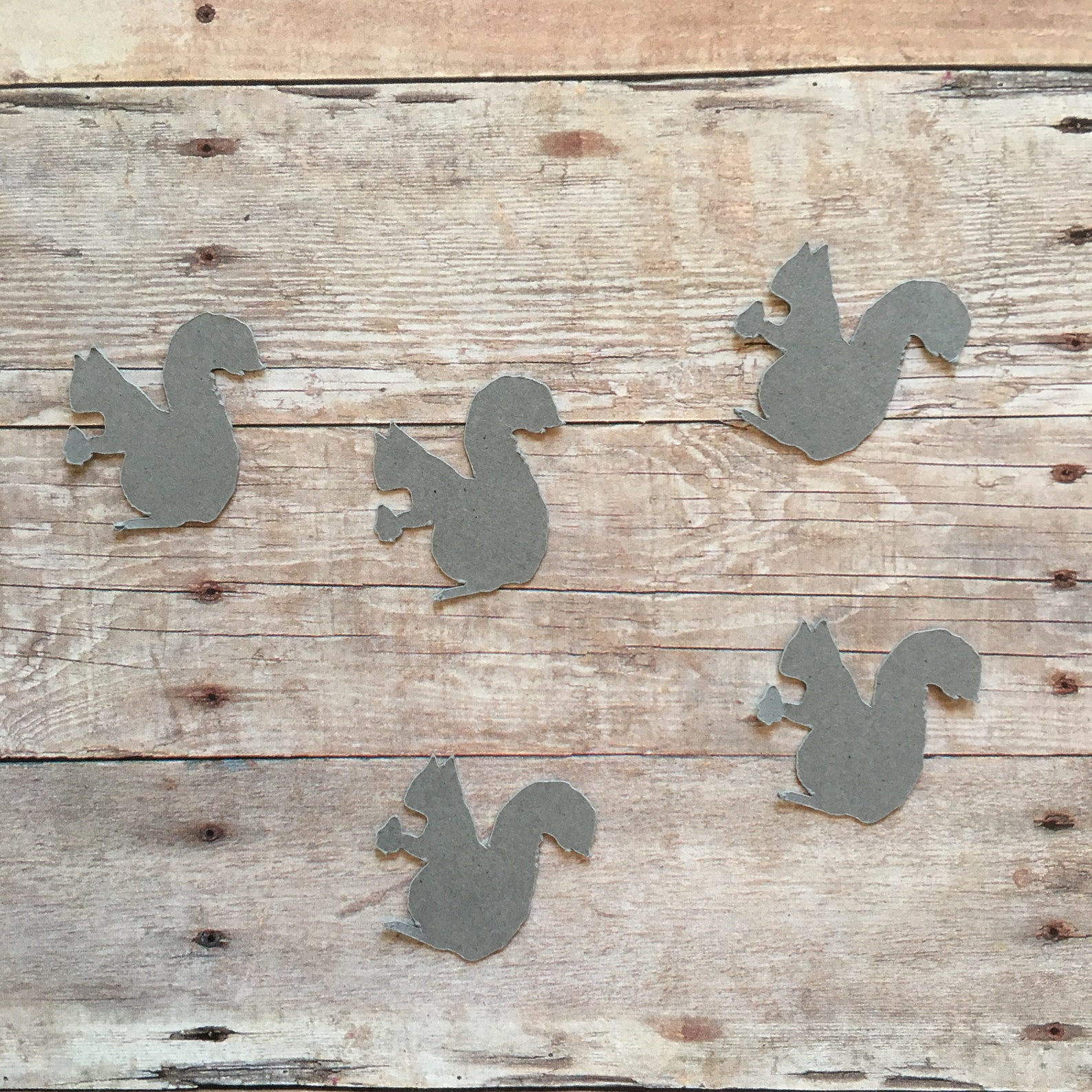 Squirrel Confetti | Squirrel Cut Outs | Squirrel Decorations | Woodland ...