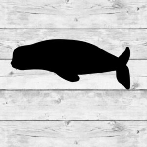 Beluga Whale Decal | Beluga Whale Vinyl Decal | Beluga Whale Sticker ...
