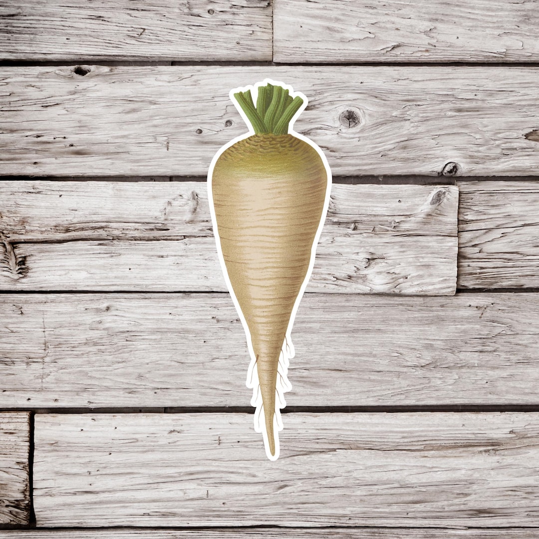 Sugar Beet Sticker, Beetroot Sticker, Vegetable Sticker, Garden Sticker ...