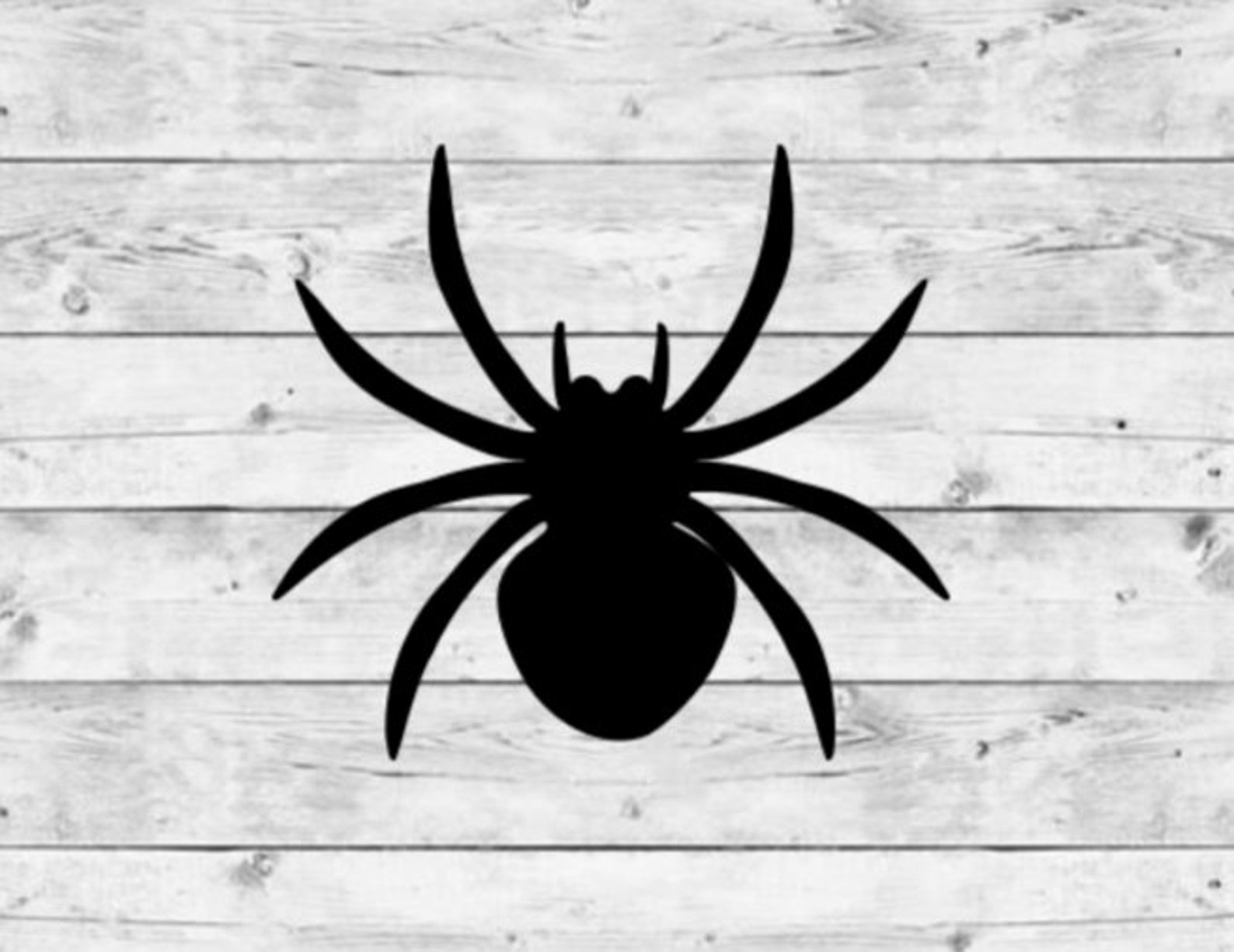 Spider Decal Spider Vinyl Decal Spider Sticker Insect - Etsy