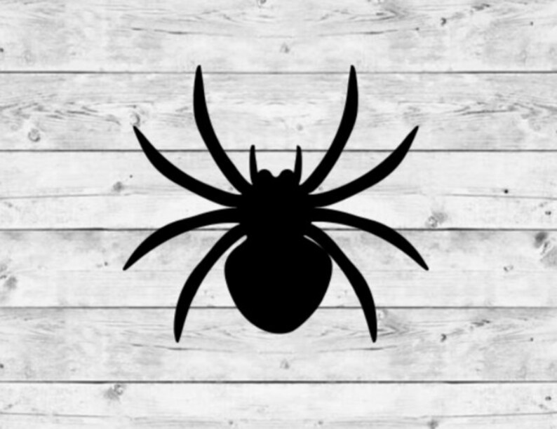 Spider Decal Spider Vinyl Decal Spider Sticker Insect - Etsy