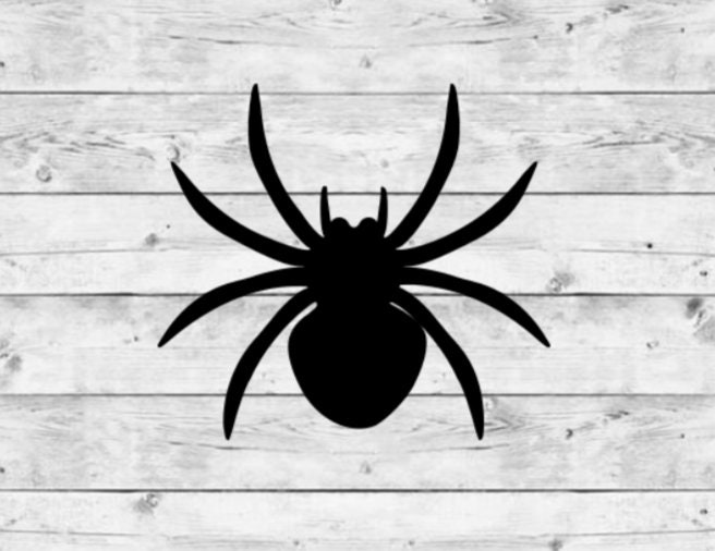 Spider Decal Spider Vinyl Decal Spider Sticker Insect | Etsy