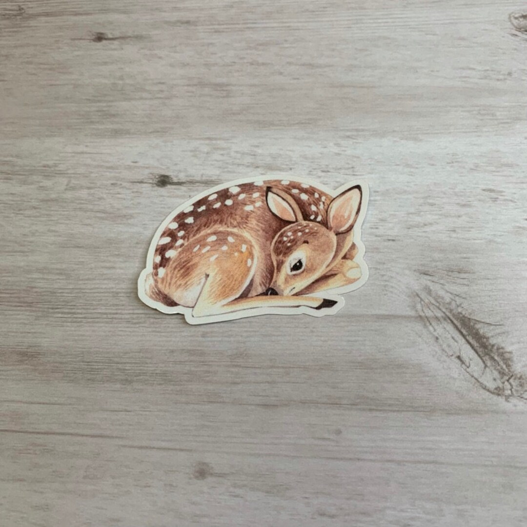 Fawn Sticker or Magnet Deer Sticker Animal Sticker - Etsy