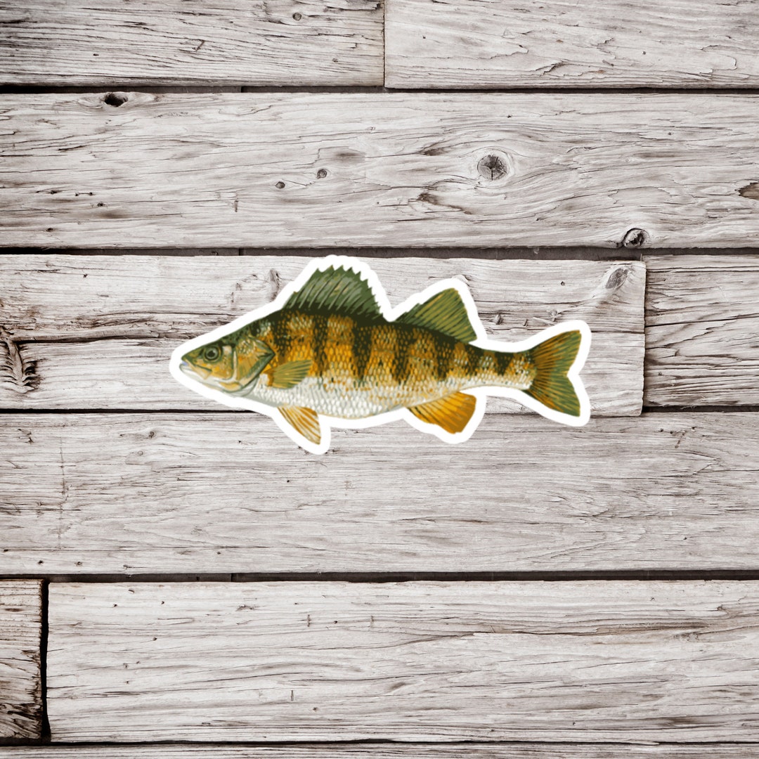 Perch Sticker, Lake Perch Sticker, Waterproof Sticker, Fish Sticker ...
