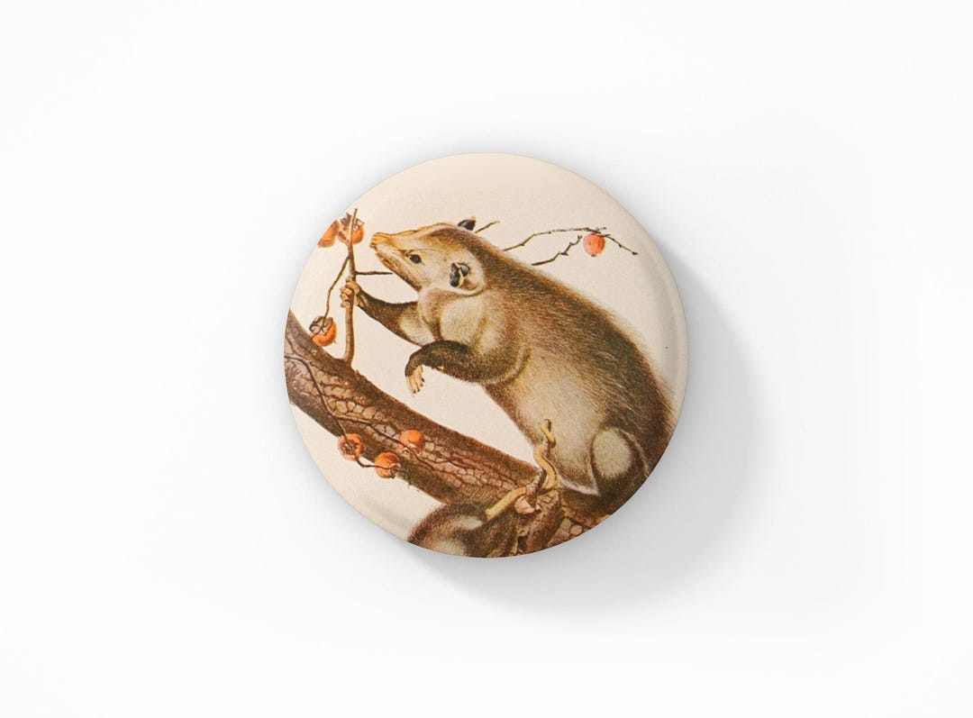 Opossum Pin Button, Opossum Keychain, Opossum Magnet, Animal Keychain ...