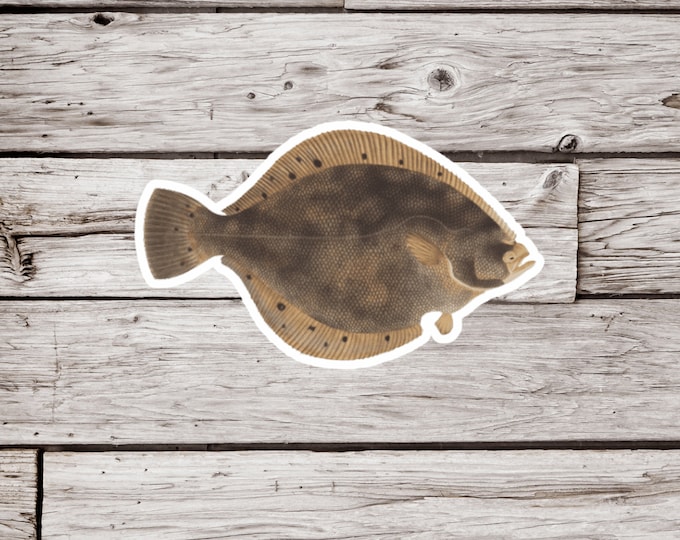 Homer, Alaska Halibut Sticker - Etsy