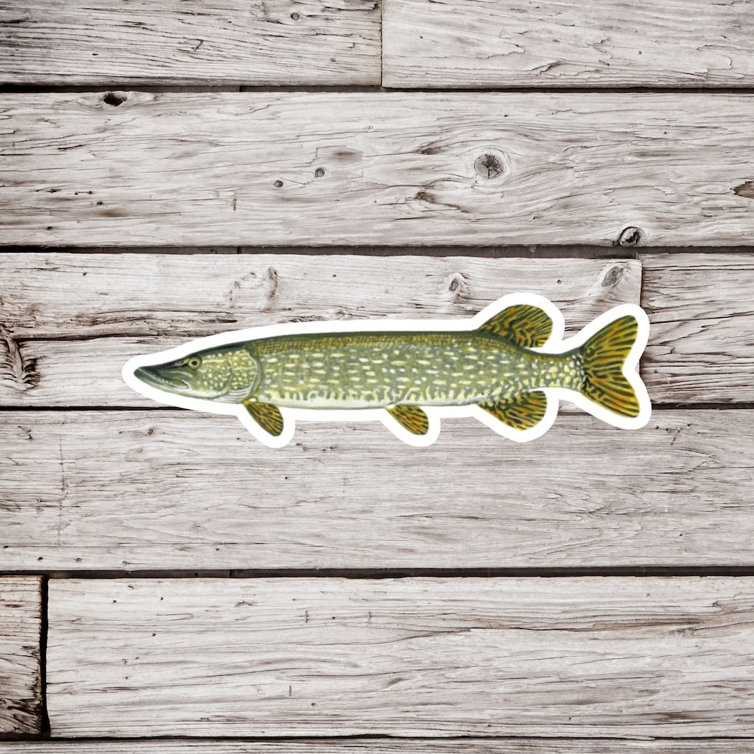 Northern Pike Sticker or Magnet, Northern Pike Magnet, Waterproof ...
