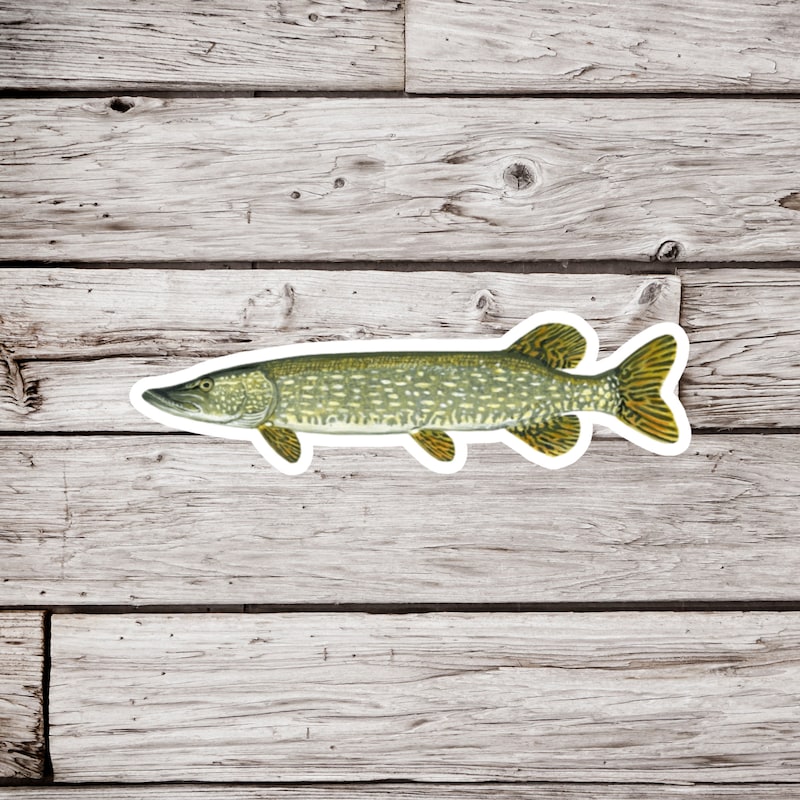Northern Pike - Etsy
