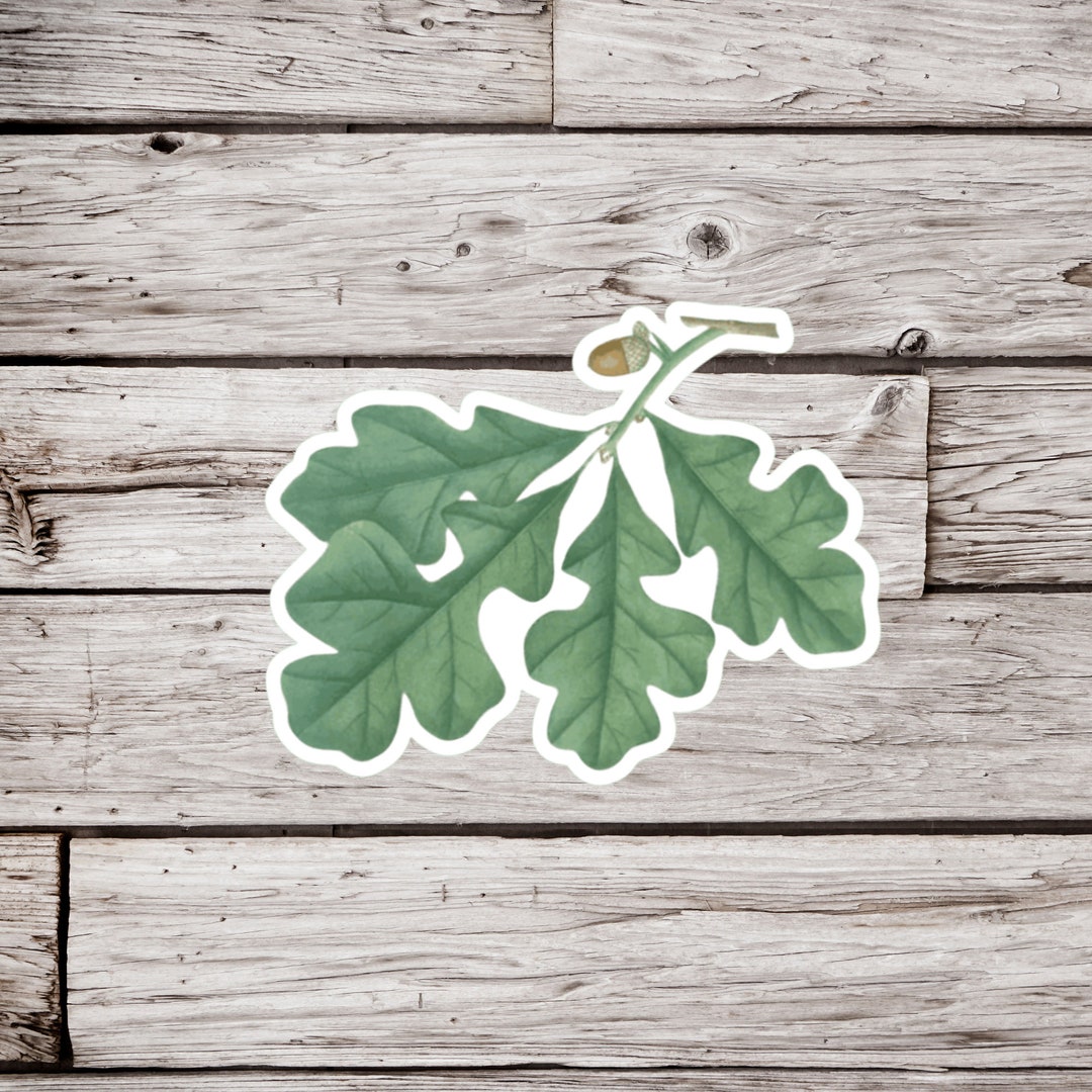 Oak Leaf Sticker, Oak Tree Sticker, Acorn Sticker, Leaf Sticker ...