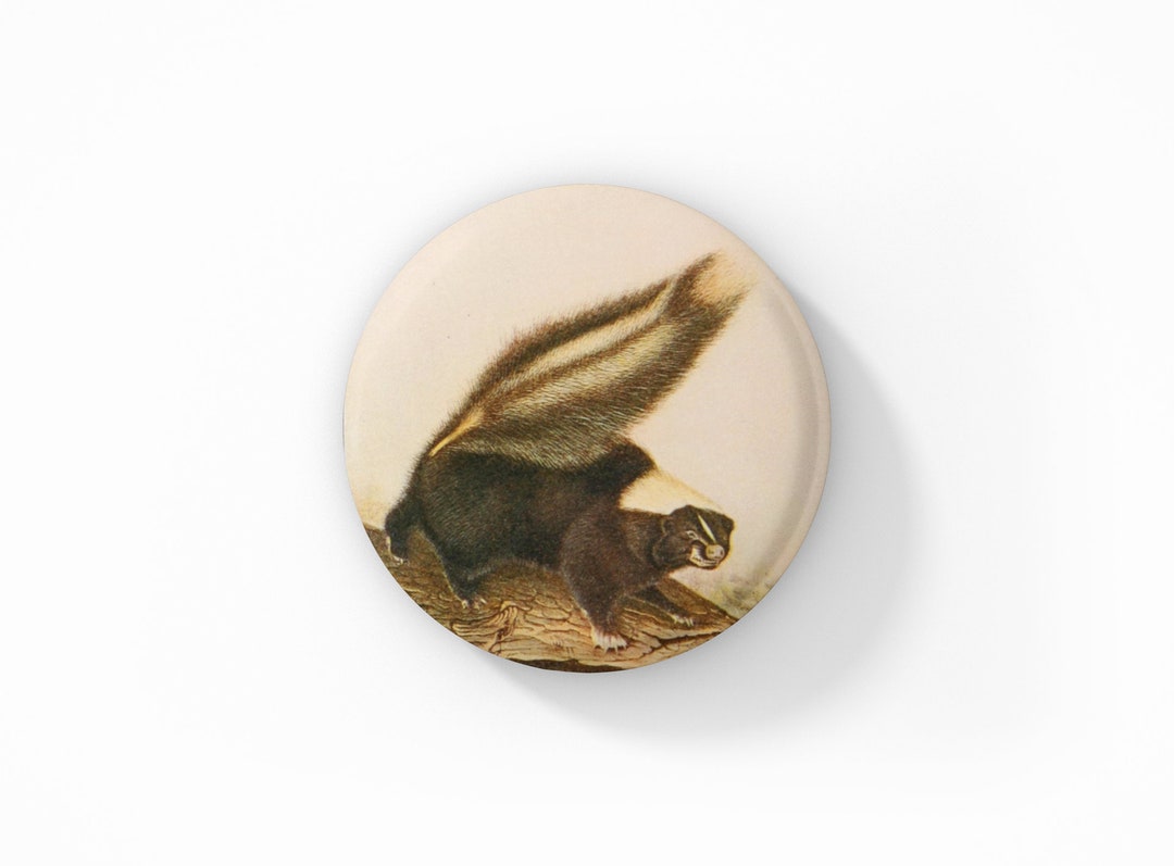 Skunk Pin, Skunk Pin Back Button, Animal Pin, Natural History Pin ...