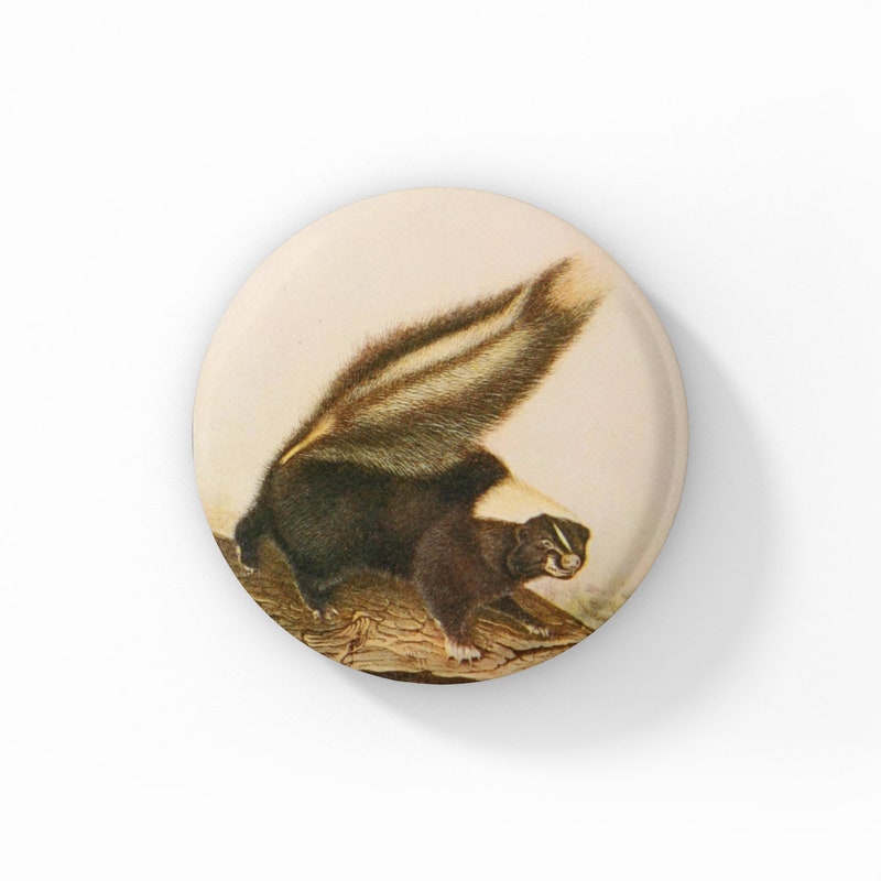 Skunk Pin - Etsy