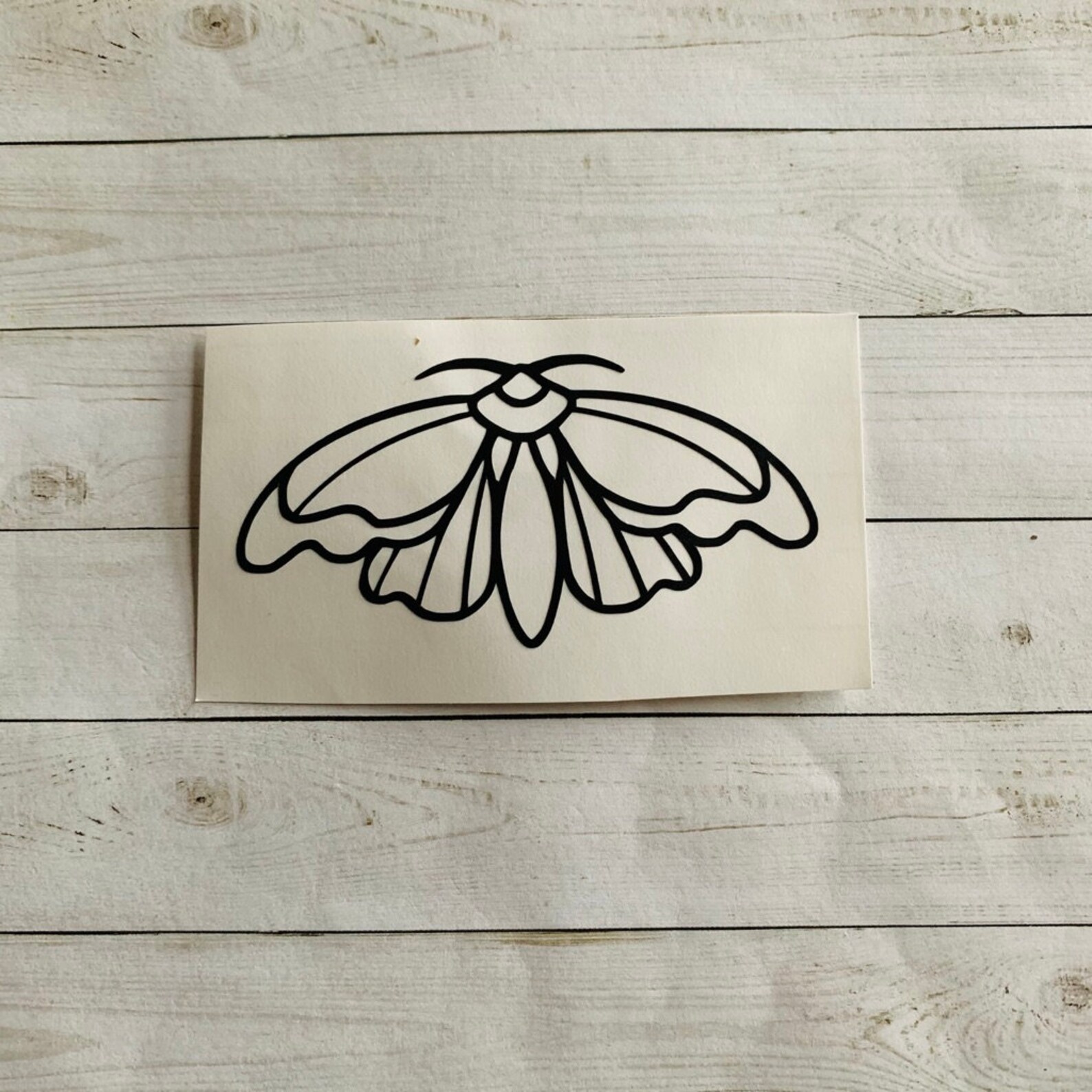 Moth Decal Moth Vinyl Decal Moth Sticker Outdoors Decal - Etsy
