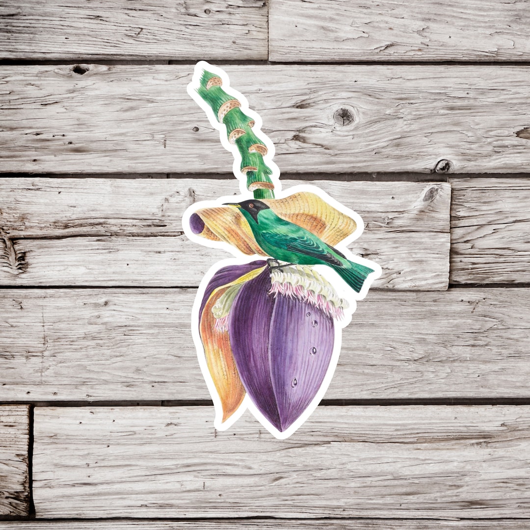 Banana Flower Sticker, Banana Plant Sticker, Banana Sticker, Waterproof ...