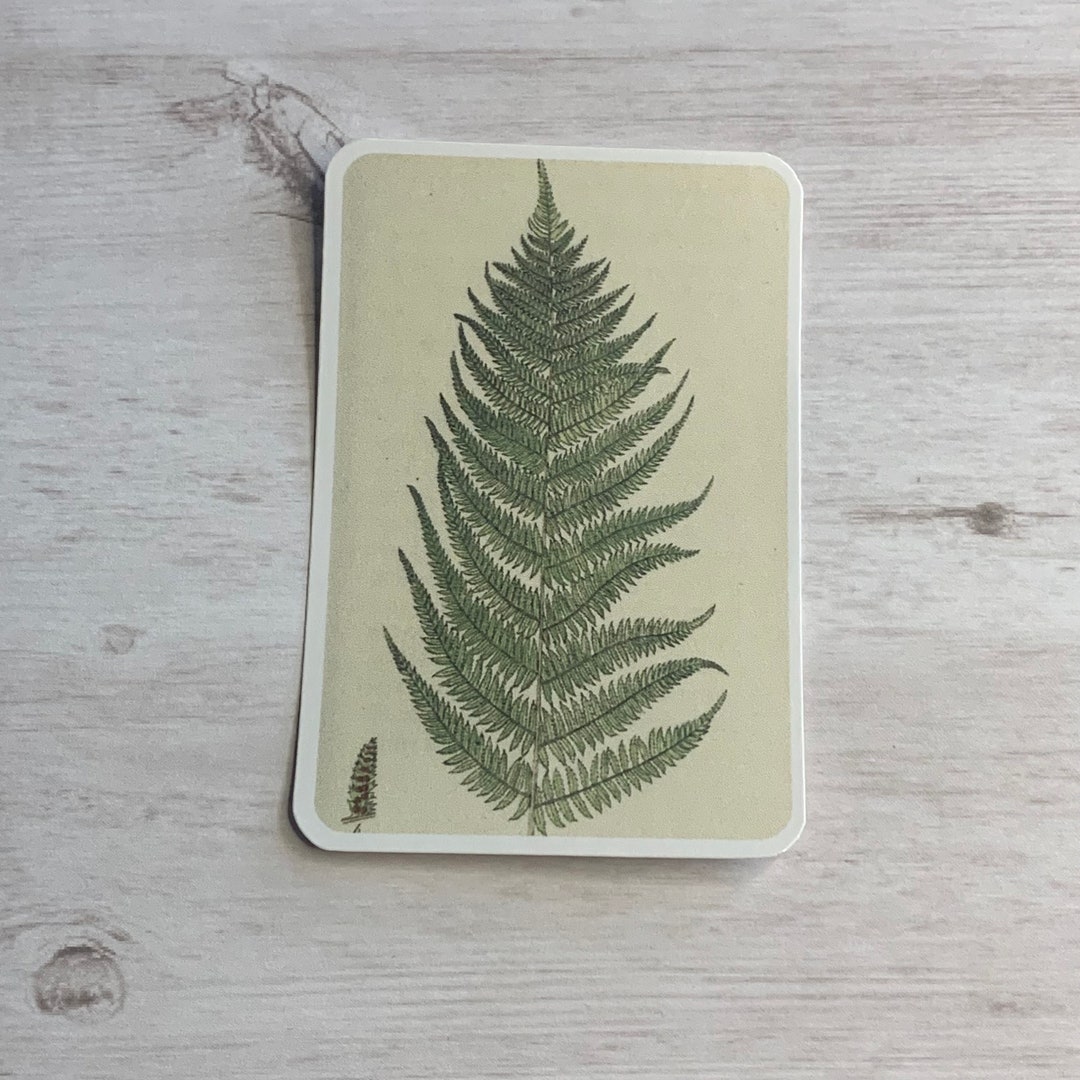 Fern Sticker or Magnet Fern Sticker Fern Magnet Leaf - Etsy